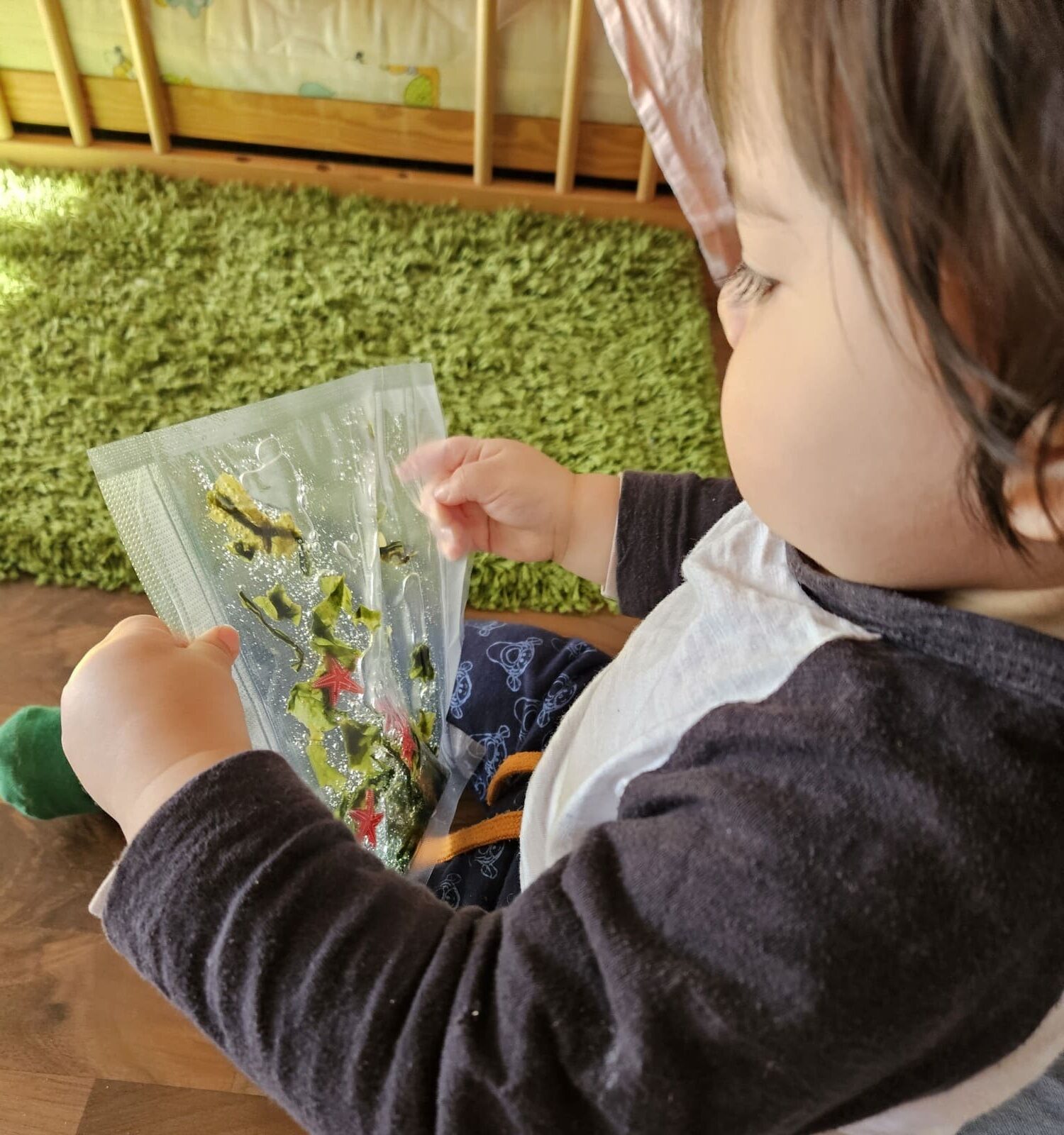 5 Easy DIY Sensory Bag Ideas For Toddlers & Infants