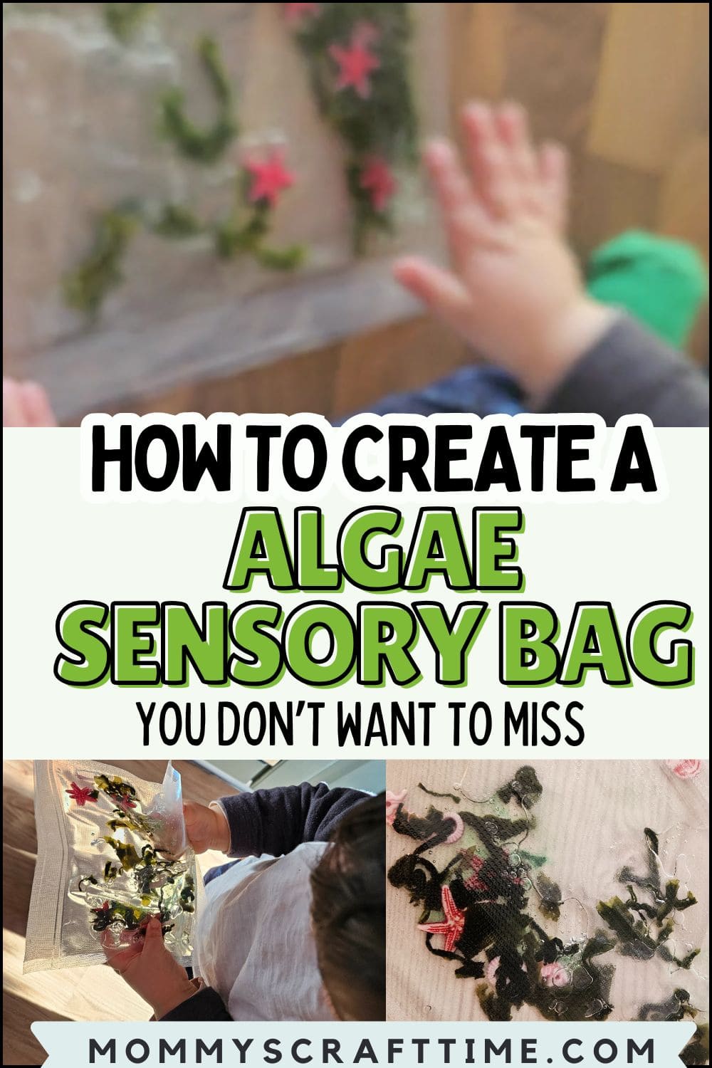 How To Create An Algae Sensory Bag: Easy Step-By-Step