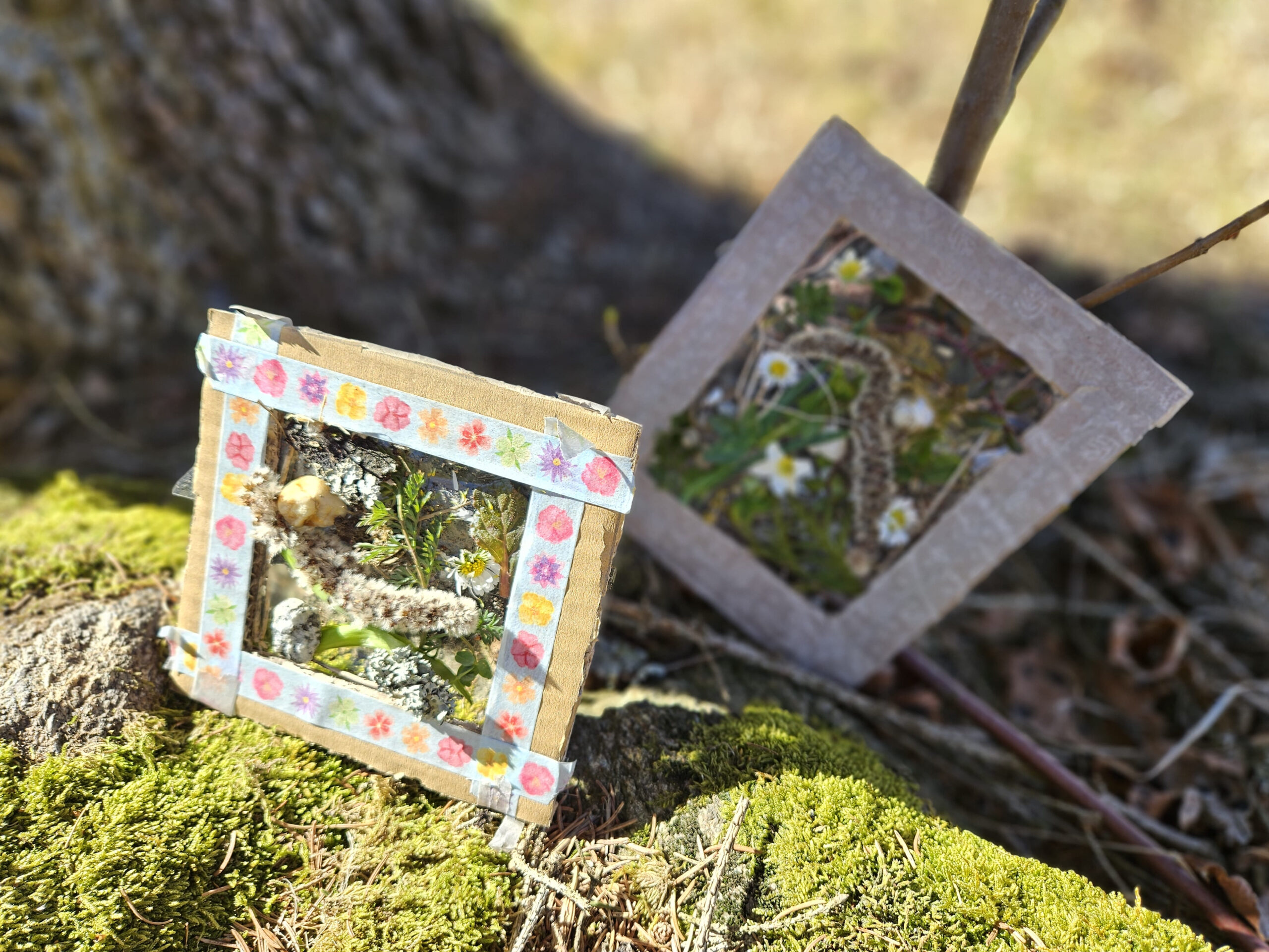 DIY Cardboard Tape Craft – A Quick And Fun Outdoor Activity