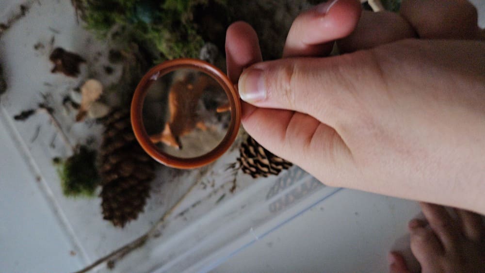 Engaging DIY Forest Sensory Bin For Preschoolers