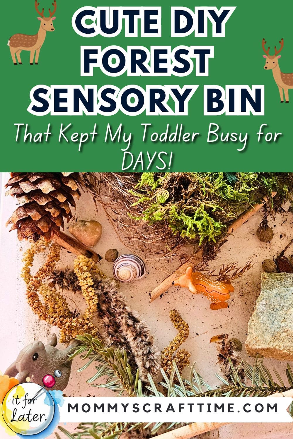 Engaging DIY Forest Sensory Bin For Preschoolers